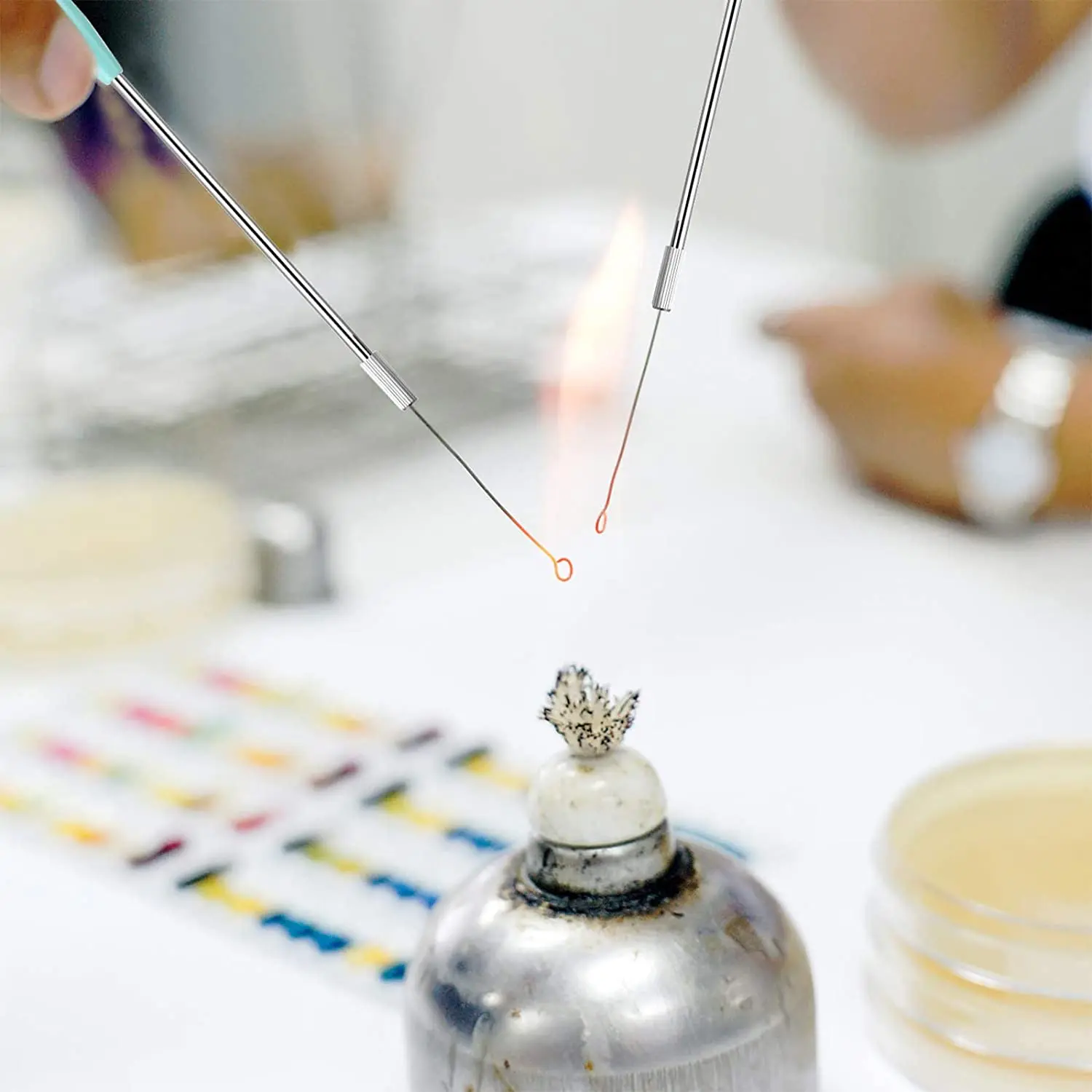 Stainless Steel Reusable Inoculating Loop & Needle - OEM | Wholesale