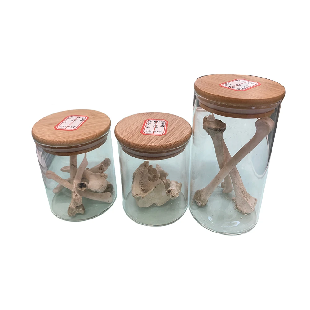 Snsek-sb75v Reusable Vet Aquamation Equipment for Pets