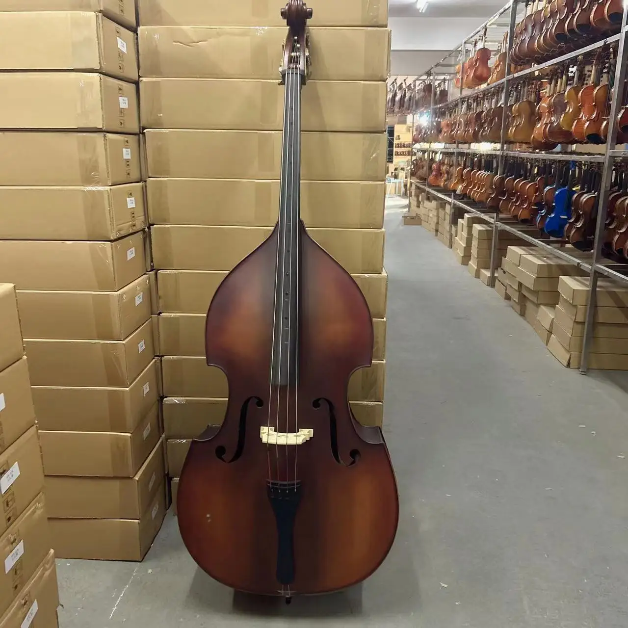 Beginner Upright Bass: Plywood Double Bass in Sizes 1/8 to 4/4 for ...