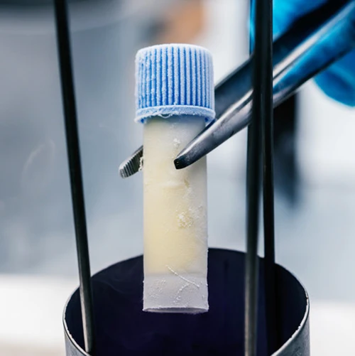 Lab Transparent Freezing Plastic Test Tubes Cryogenic Vials 1.8 mL ...