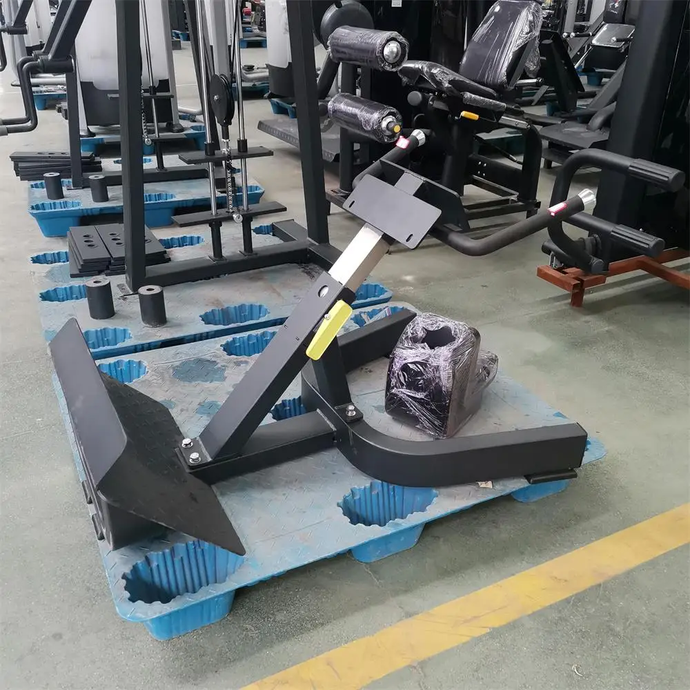 Commercial Gym Roman Chair & Reverse Hyper Extension Bench for Lower ...