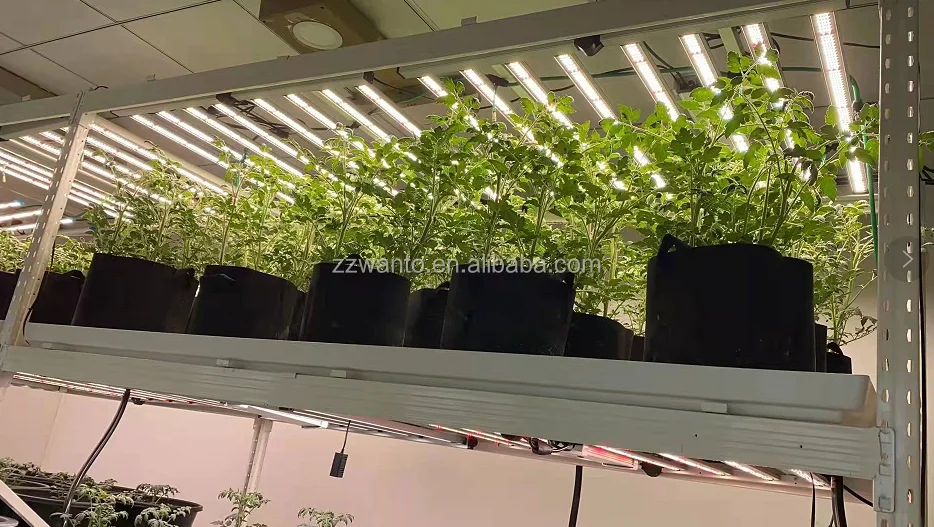 Multi-spans guide rail mobile greenhouse hydroponic strawberry ...