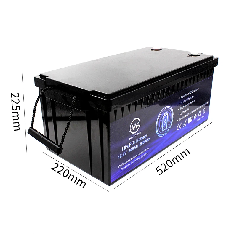 Lifepo4 Bms Lifepo4 Battery Pack 12v 48v 120ah 150ah 170ah 200ah 300ah ...