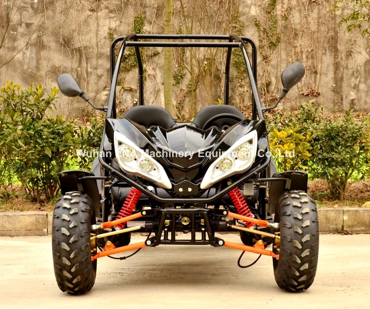 LNA 200cc Go Karts - Enjoy Gas Powered Fun for Adults