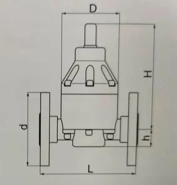 LG PVDF DN15 Back Pressure Valve - Reliable Safety Solution