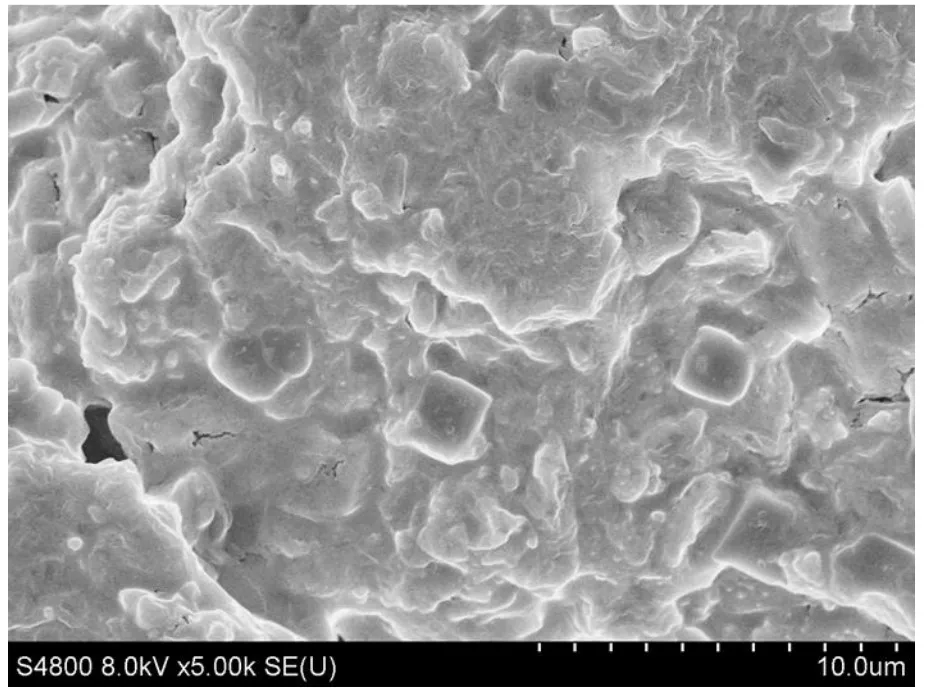 High Ionic Conductivity Solid Electrolyte LPSC Li6PS5Cl for Lithium Ion ...