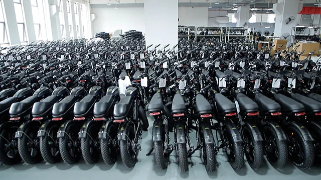 Company Overview - SMART RIDE TECHNOLOGY LIMITED