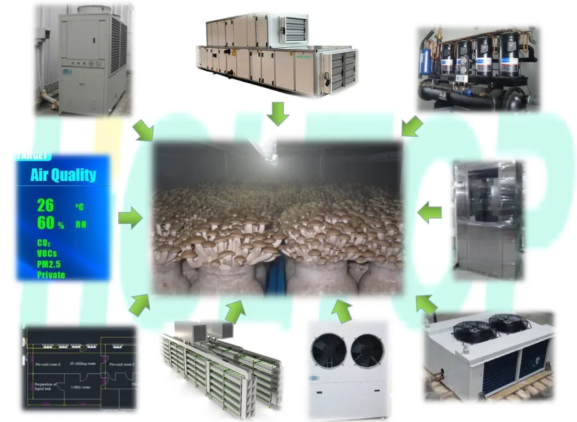 5 Ton HVAC Greenhouse Air Conditioner for Vertical Farming