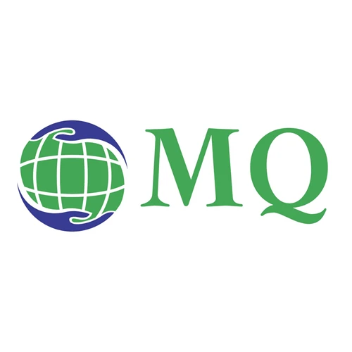 Company Overview - Shenzhen Maiqing Trading Co., Ltd.