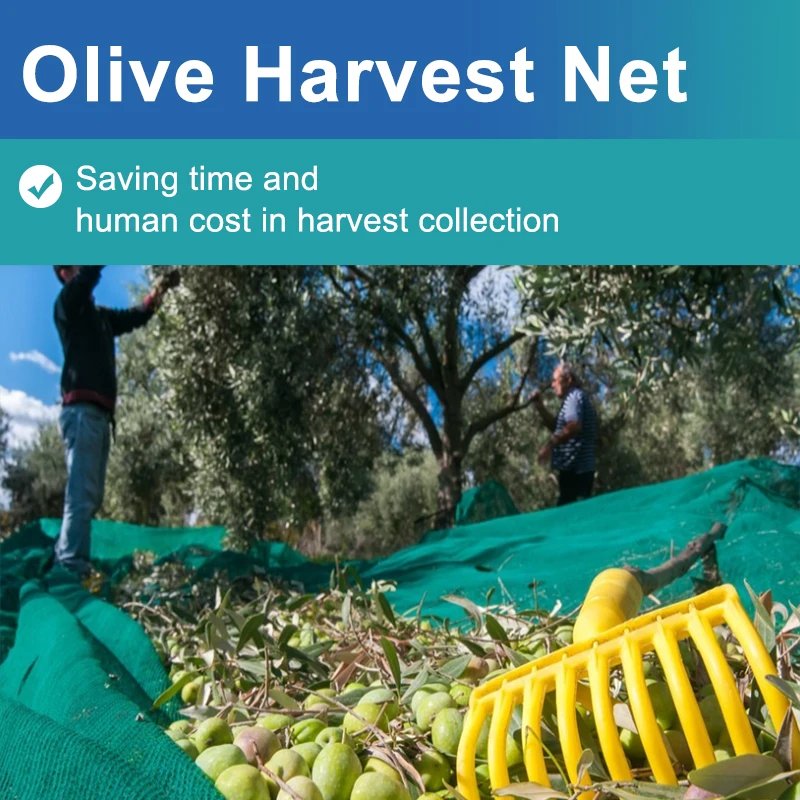 20 Years Netting Olive Harvest Nets Agriculture Green Wash Net ...