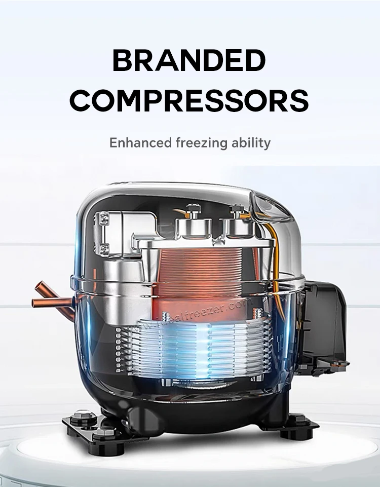 Commercial Kitchen Chicken French Fries Freezer Blast Chiller Tecumseh ...