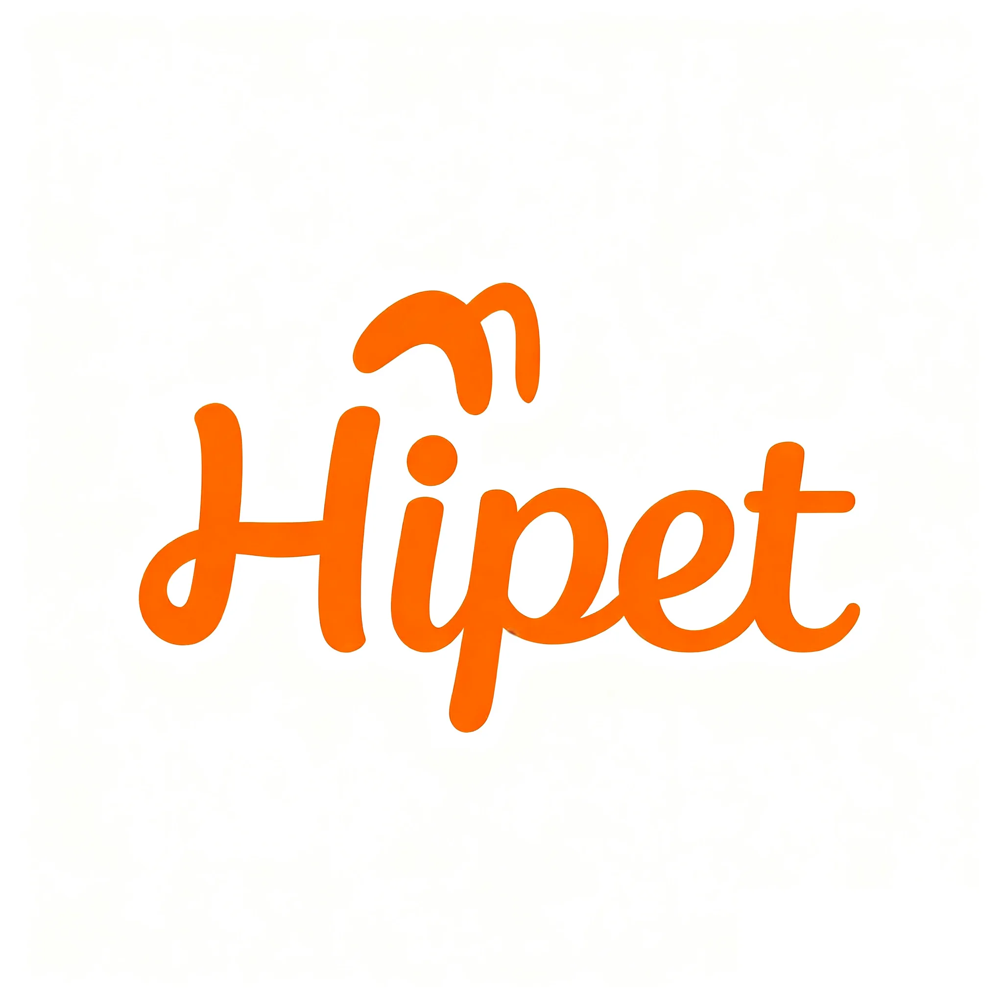 Company Overview - Shijiazhuang Hipet Technology Co., Ltd.