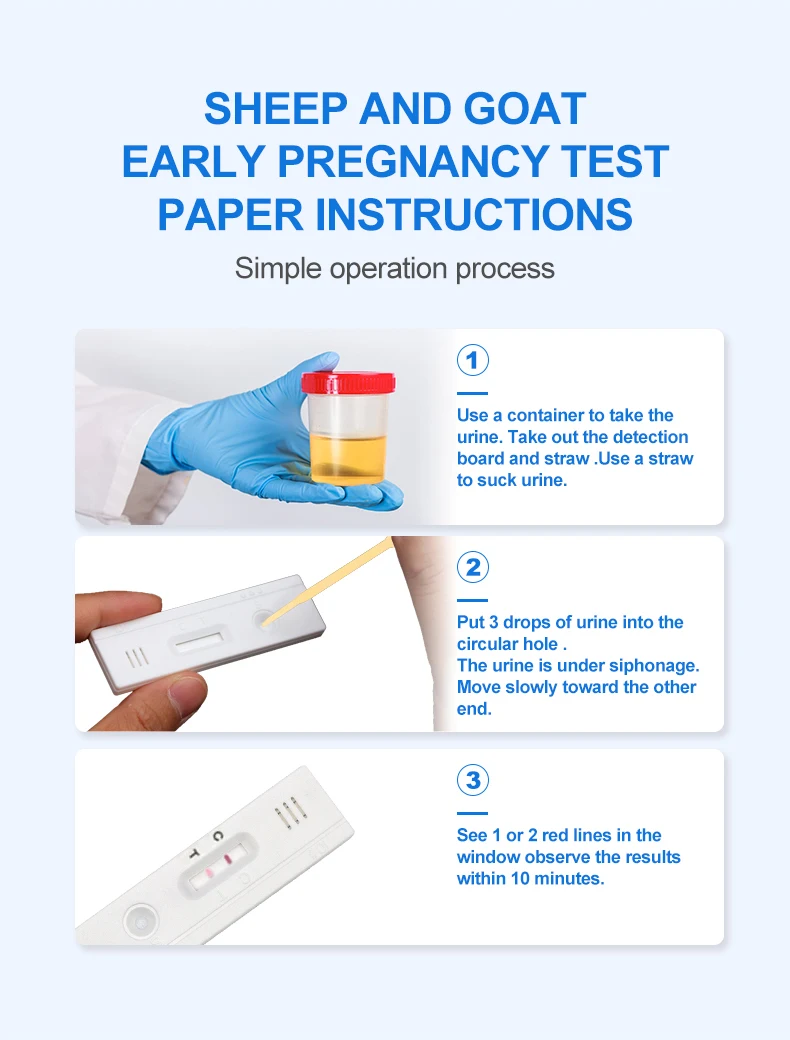 GooDoctor Sheep Early Pregnancy Test Kit Cassette| Alibaba.com