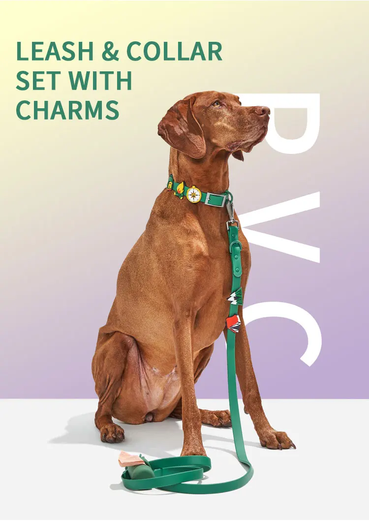 BOBO&YOYO Premium Designer Pet Collars - Waterproof & Adjustable