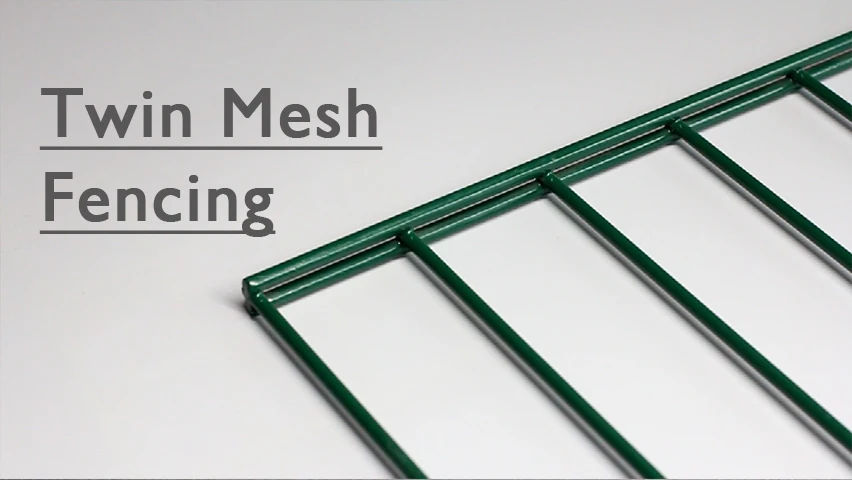 Germany Powder Coated 868 Double Wire Fence 656 Twin Wire Galvanized ...