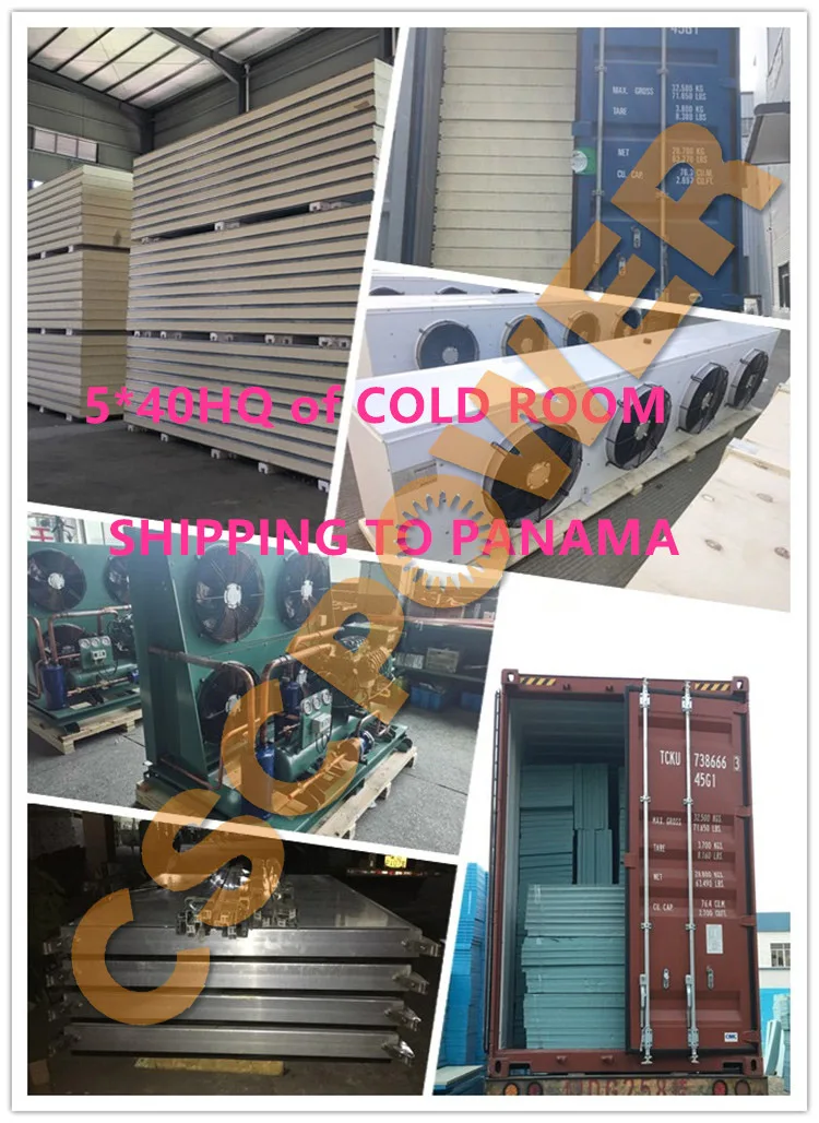 Container Cold Room Mini Cold Room Fruit Vegetable Cold Room Meat Fish ...