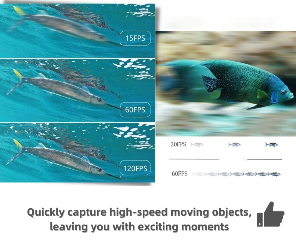 Barlus Swimming Competition Training Dedicated Underwater High Frame ...