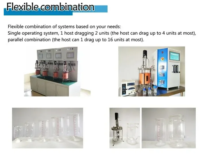 Laboratory Reaction Micro-bioreactor 15l Bacterial Fermentation Glass ...