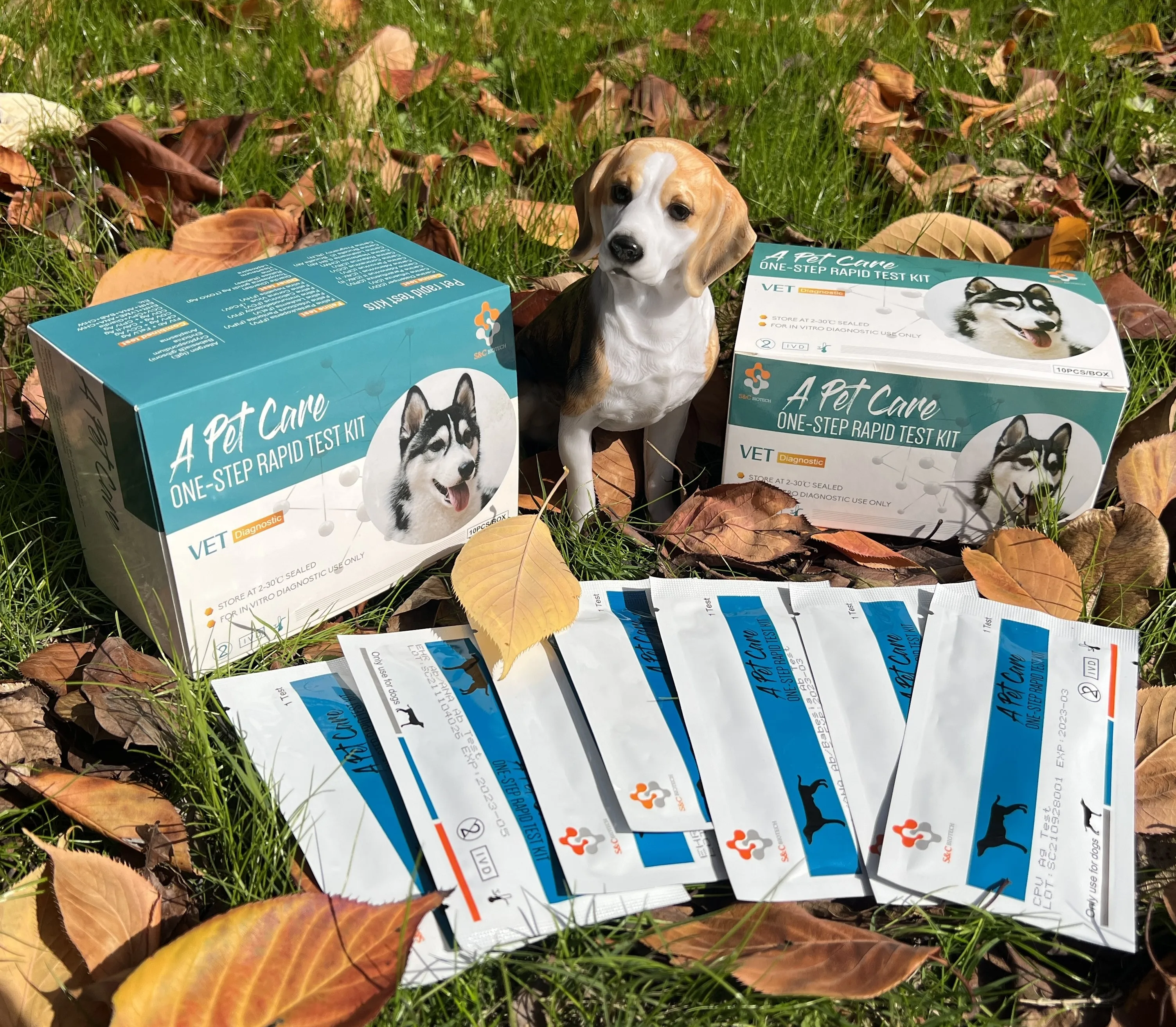 Veterinary Fast Tests Diagnostic Parvovirus Antigen Canine Cpv +ccv ...