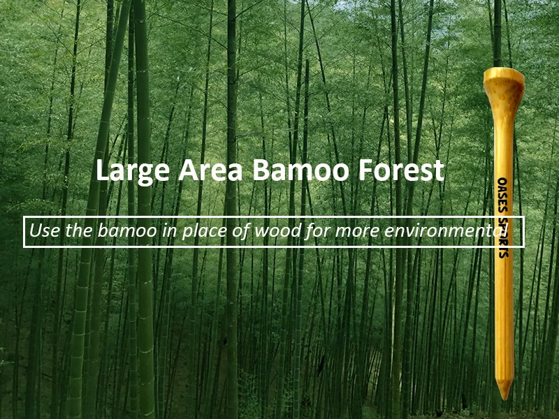 Customized Pack Imprint Wood Bamboo Golf Tee Pegs