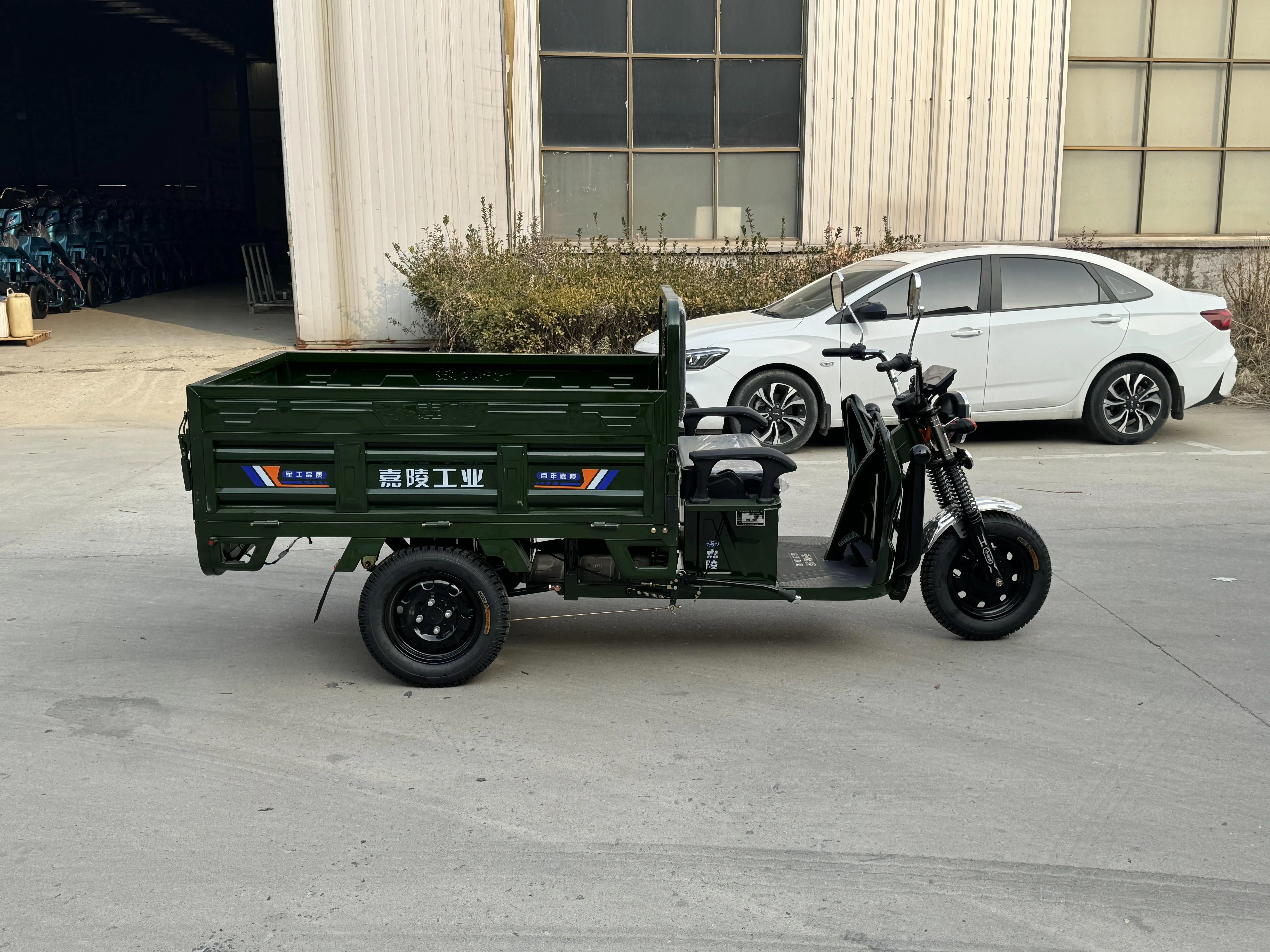 LB-LB160G2 Heavy Duty Electric Cargo Vehicle - 1500W Power