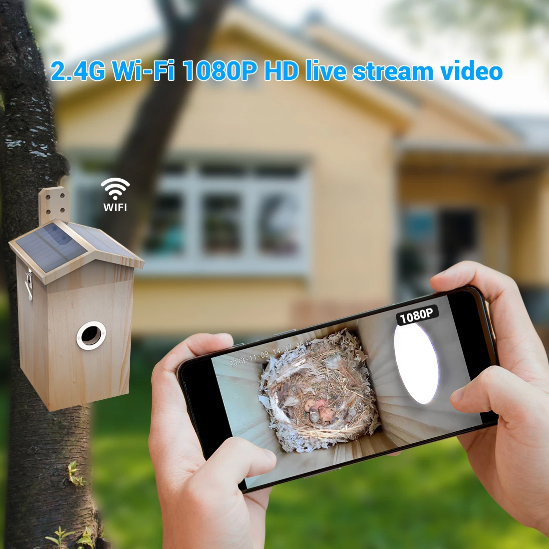 App Group Control Bird Nest With Camera Infrared Motion Detection - Buy ...
