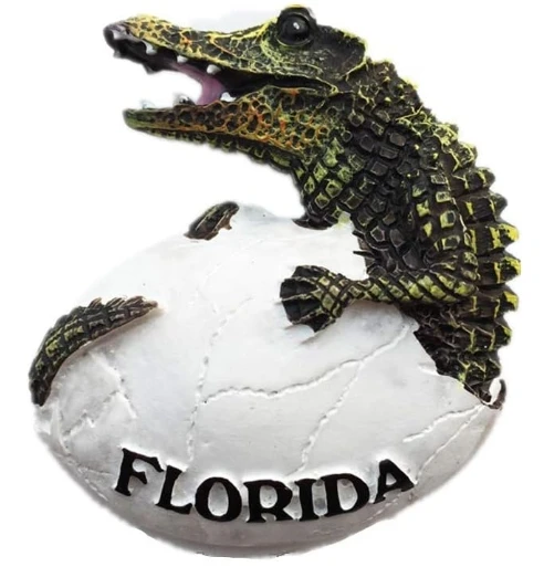 Resin 3d Florida Alligator Hatch Refrigerator Magnet - Buy 3d Crocodile ...