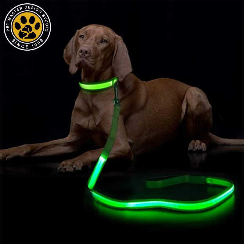 Sinsky Night Safety Led Dog Glow In Dark Adjustable Luminous Collar ...