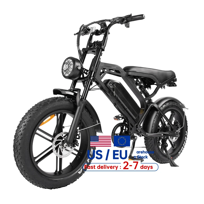 V20 Electric Bike Hydraulic Brake 750w Fat Tire E-bike 250w Electric ...