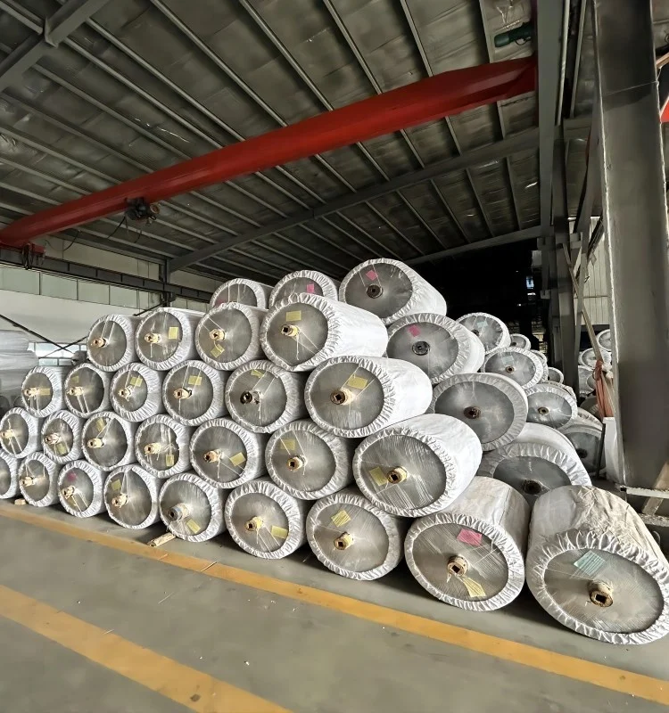 2200dtex/2 Polyester Fiber Tire Dipped Cord Fabric for Hangers