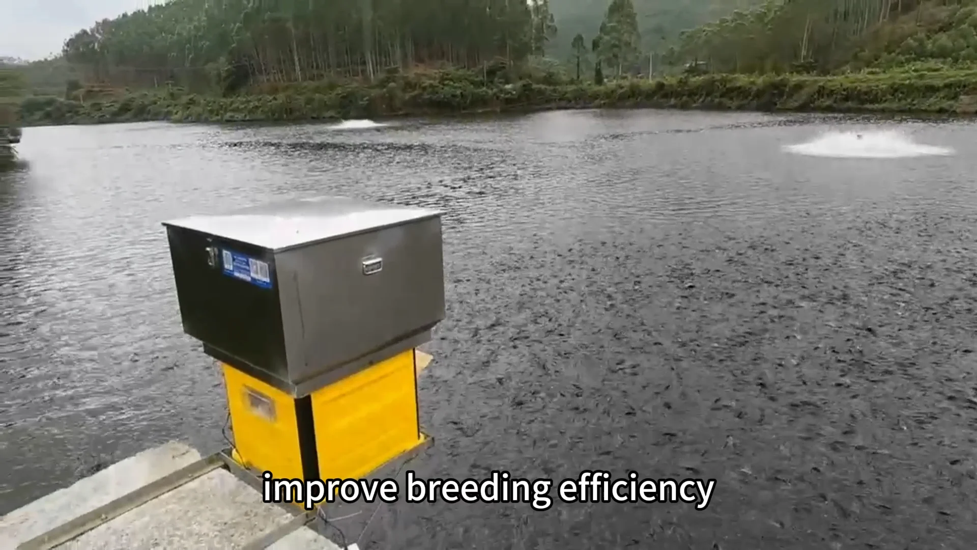 New 3-pack Capacity Stainless Steel Split Design Auto Fish Feeder ...