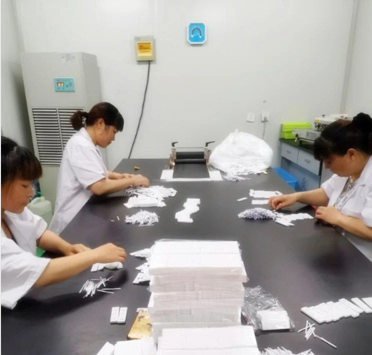 ISO Approved Veterinary Supplies - Rapid Test Kits for Dogs