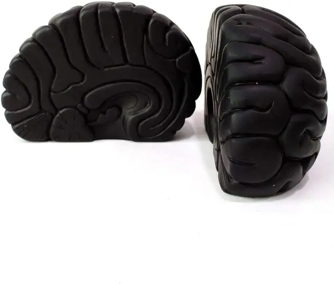 Brain Decorative Resin Book Shelf - Buy Brain Bookends 6.5inch Tall ...