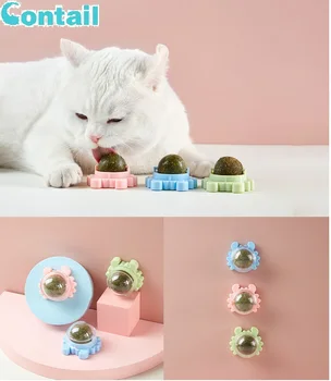 Tik Tok Top Ranking Pet Toy Kitten Cat Mint Toy,Funny Rotation Ball ...