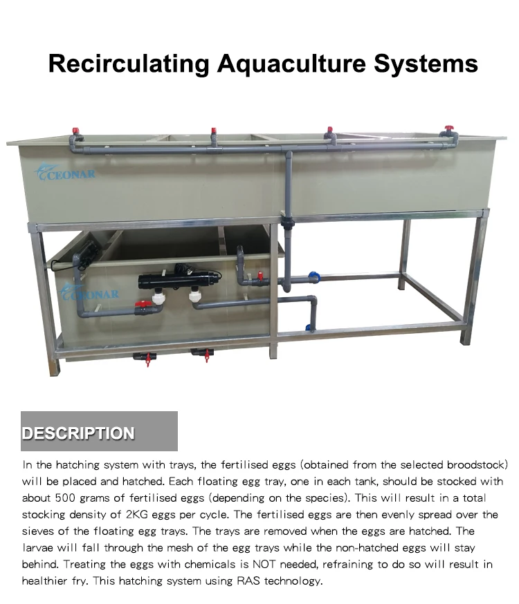 CEONAR Tilapia Fish Incubator - Efficient Hatchery Solutions