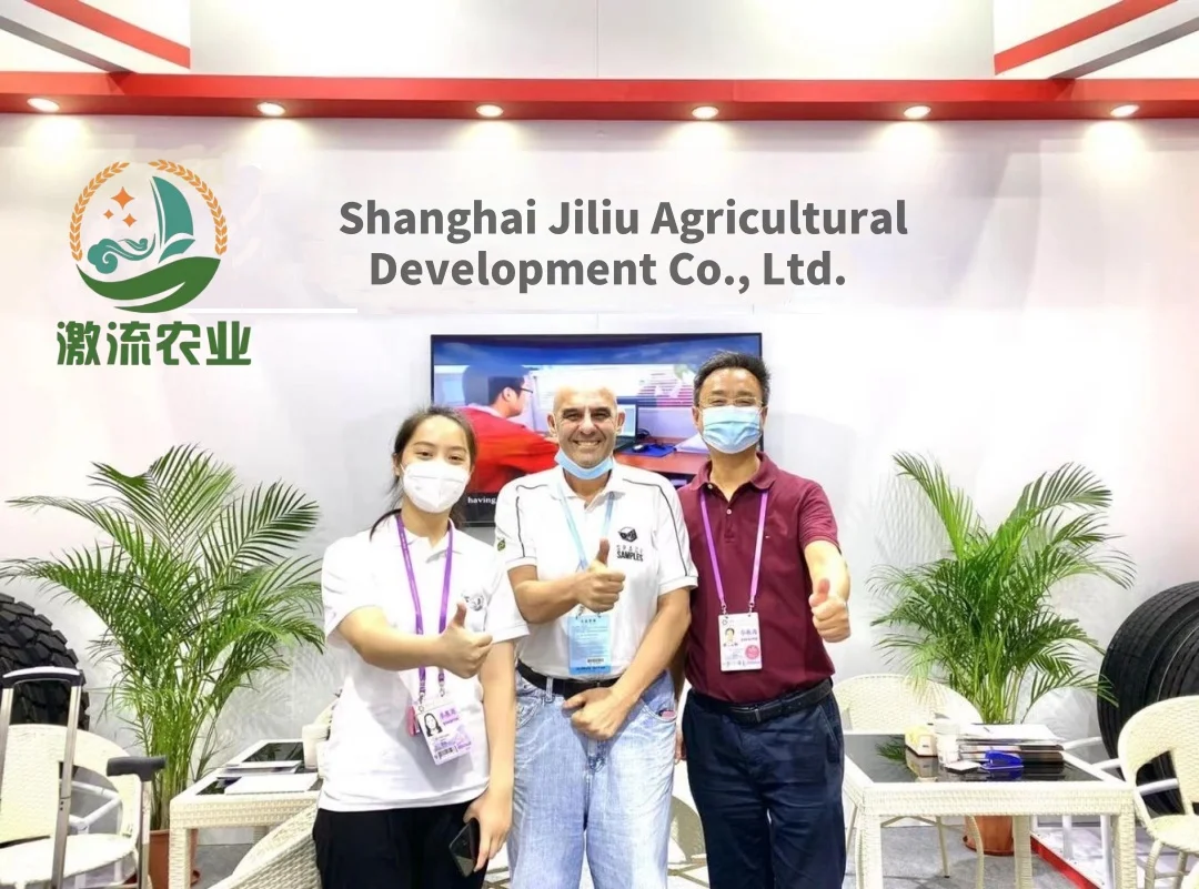 Quality Guarantee Premium Quality Fresh ISO Certified New Crop China ...