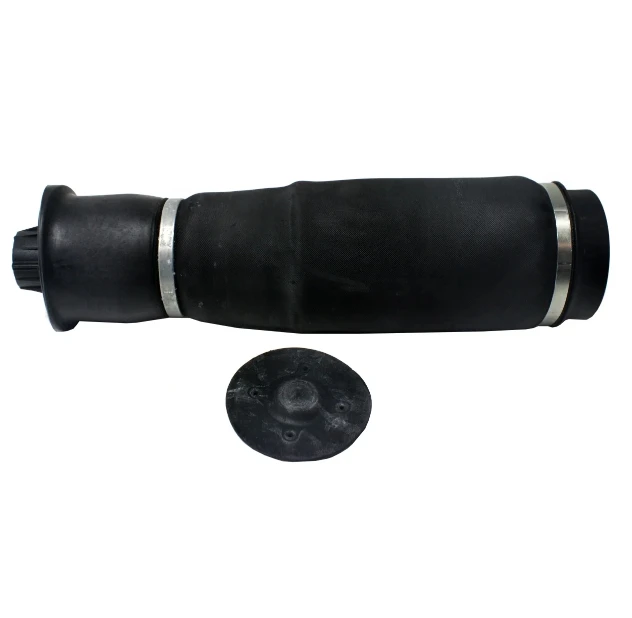 Master Brand Suspension System Rear Air Suspension Spring For Mercedes ...