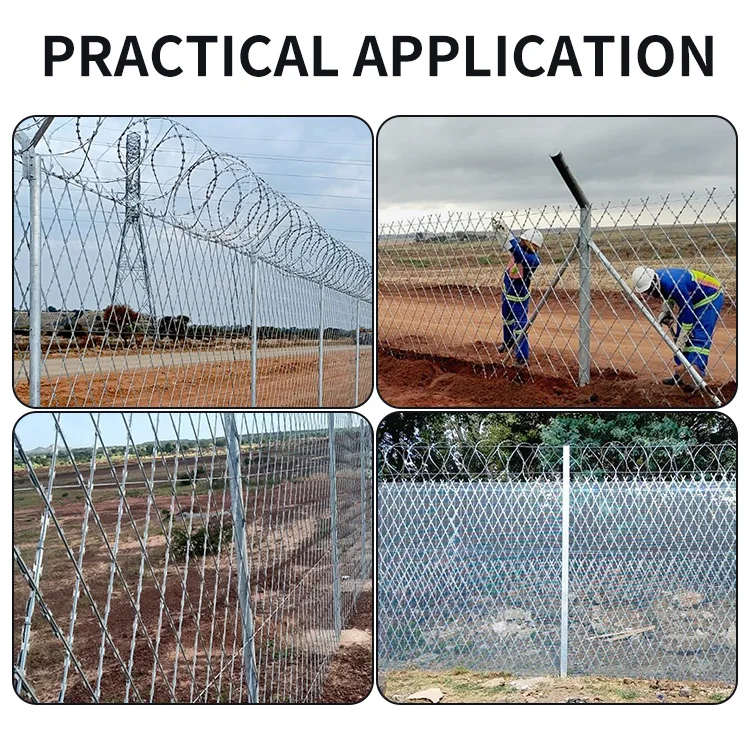 Galvanized Steel Fencing Wire Mesh with Barbed Razor for Security OEM