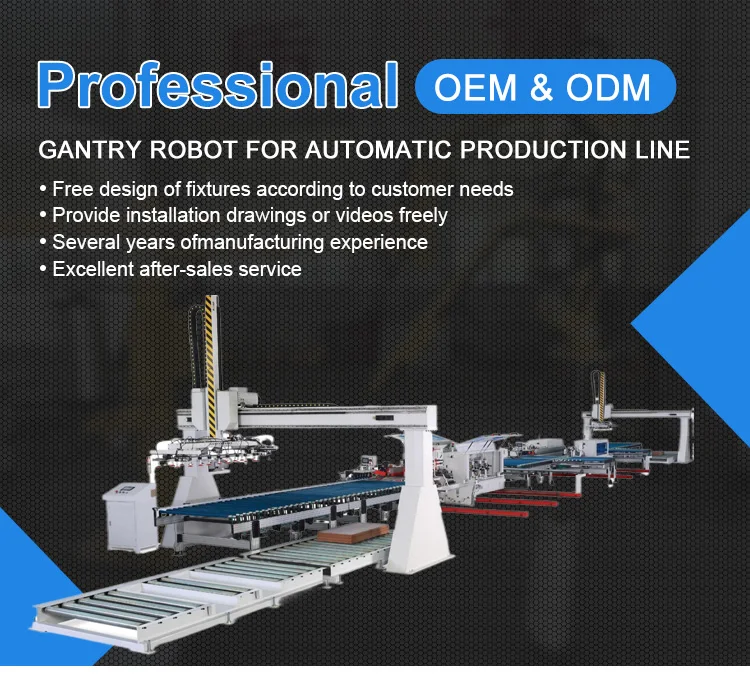 Tongli Cartesian Industrial Robot - High Efficiency Palletizer
