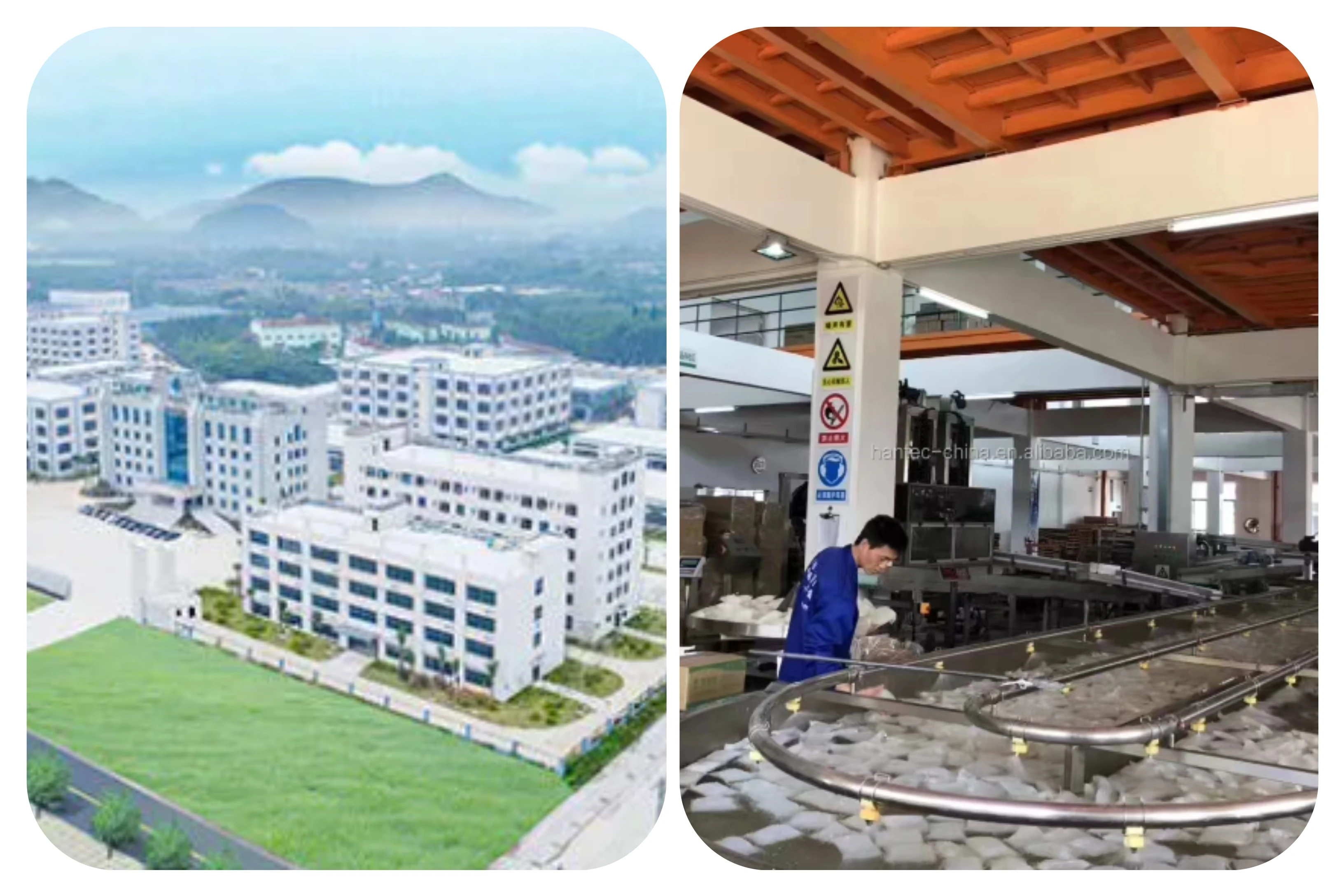 Epoxy Resin Kit Jewelry Resin 2 Part Epoxy Resin And Hardener For ...