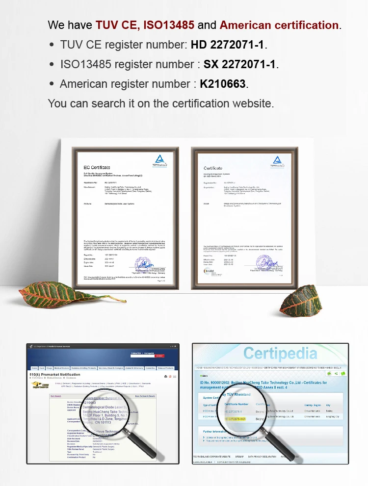 Painless Gentle Alex Hair Remover Laser Alexandrite Laser Nd Yag 1064nm ...