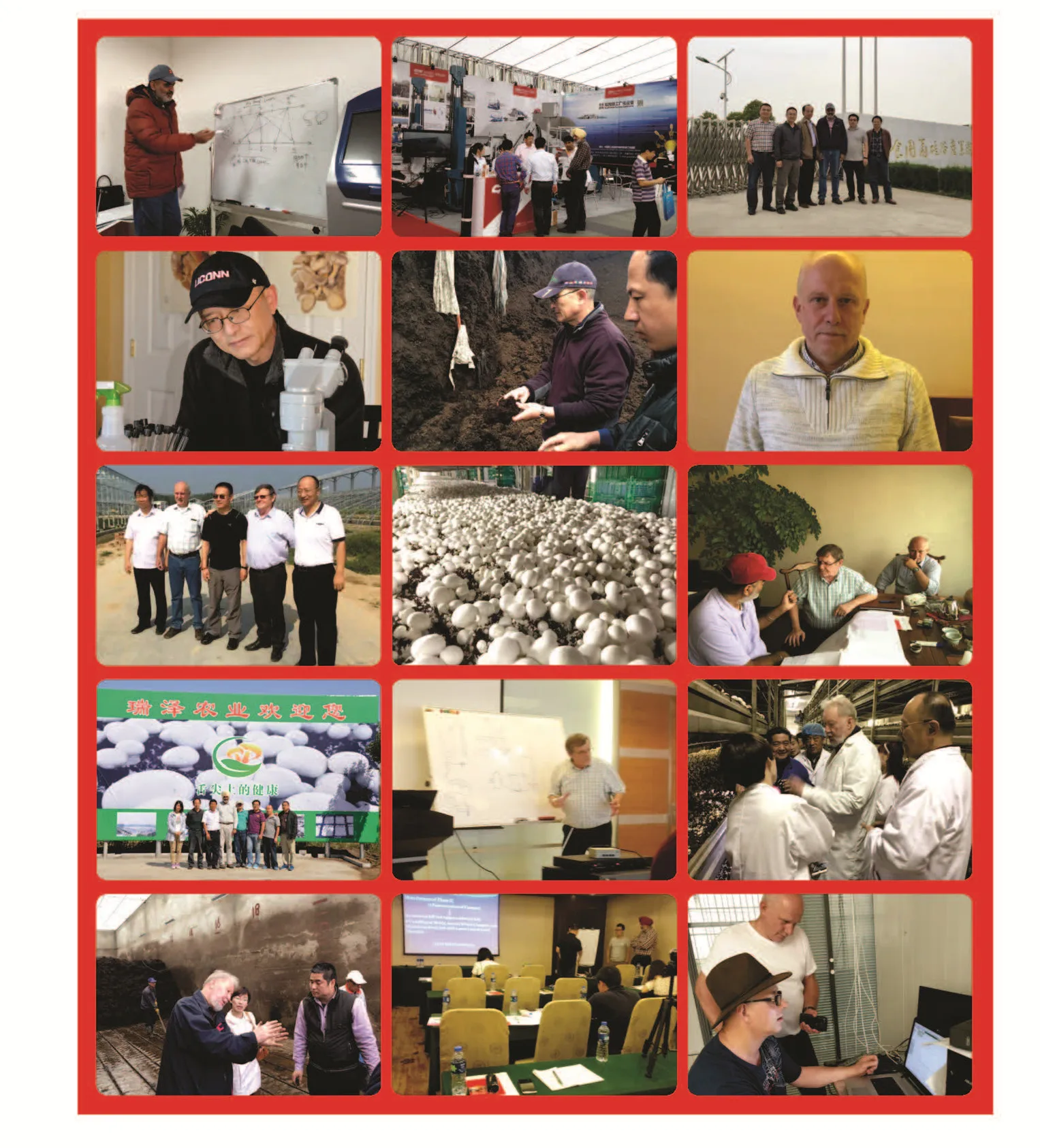 Mushroom Growing Peat Moss Casing Soil Mixing Machine - Buy Casing Soil ...