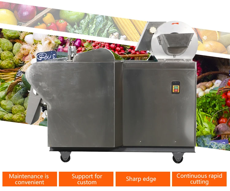 Leila Cucumber Eggplant Automatic Vegetable Cutter Machine Lettuce ...