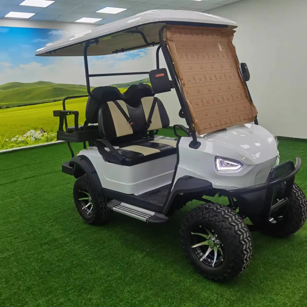 Street Legal Golf Buggy - CE Certified European Style Cart