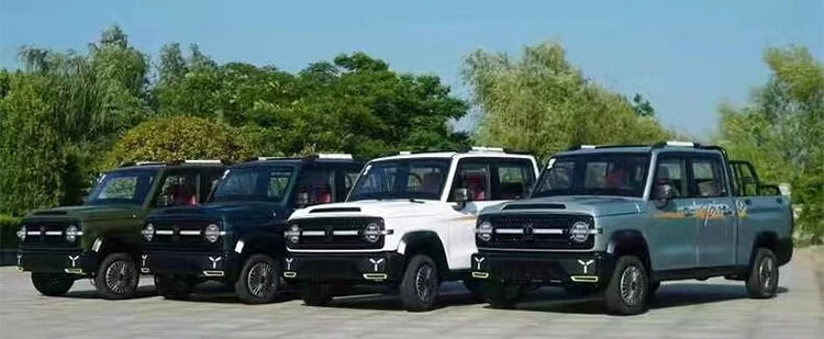 Chang Li Electric Car New Electric Pickup Car Electric Truck 4x4 ...