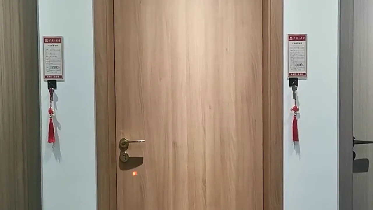 Djmi Fashion Style Laminated Wooden Door China Manufacturer Veneered ...