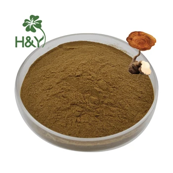 Healthway Supply Tiger Milk Mushroom Powder Tiger Milk Mushroom ...