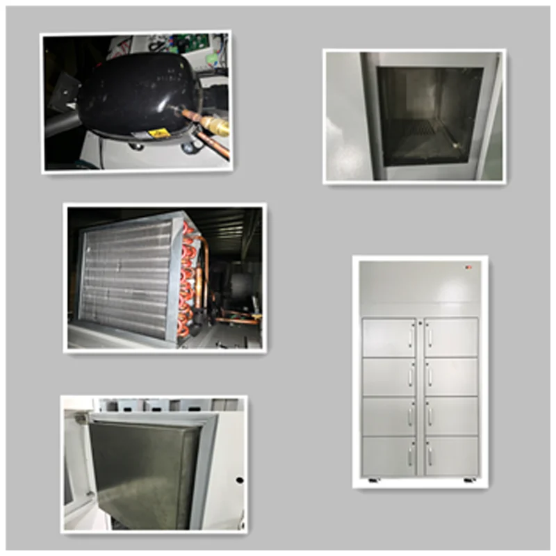 Refrigerated Lockers Contain Individual Compartment Each Column ...