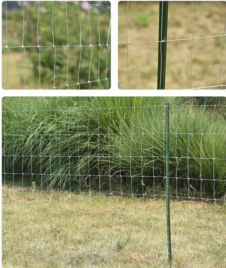 Factory Customised Sheep Fence Goat Fence Field Fence - Buy Factory ...