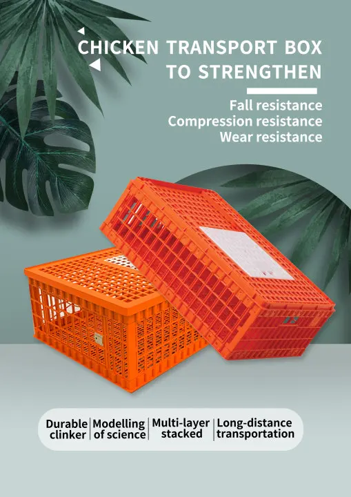 Transport Chicken Chicken Live Poultry Transport Crate Live Chicken ...
